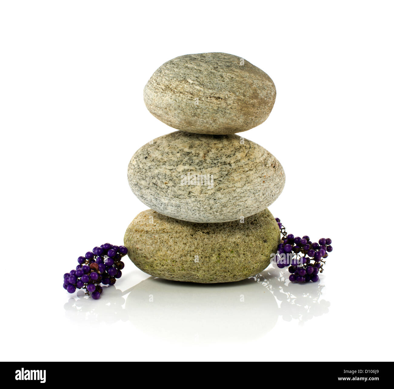 Berries and rocks hi-res stock photography and images - Alamy