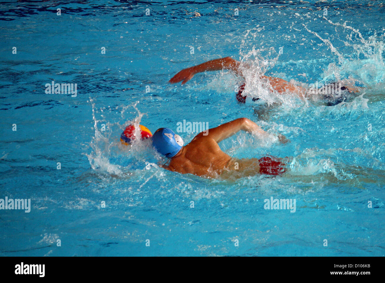 strong swimmers during a game of water polo in the pool Stock Photo - Alamy