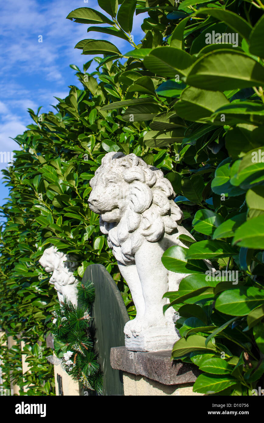 Stone Lion Hidden in Hedge Around a Garden Stock Photo - Alamy