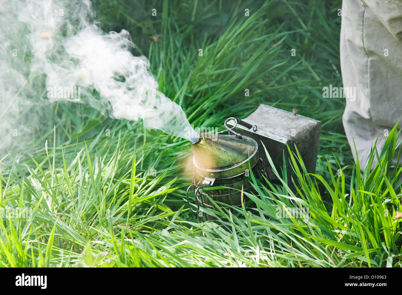 Importance of insects hi-res stock photography and images - Alamy