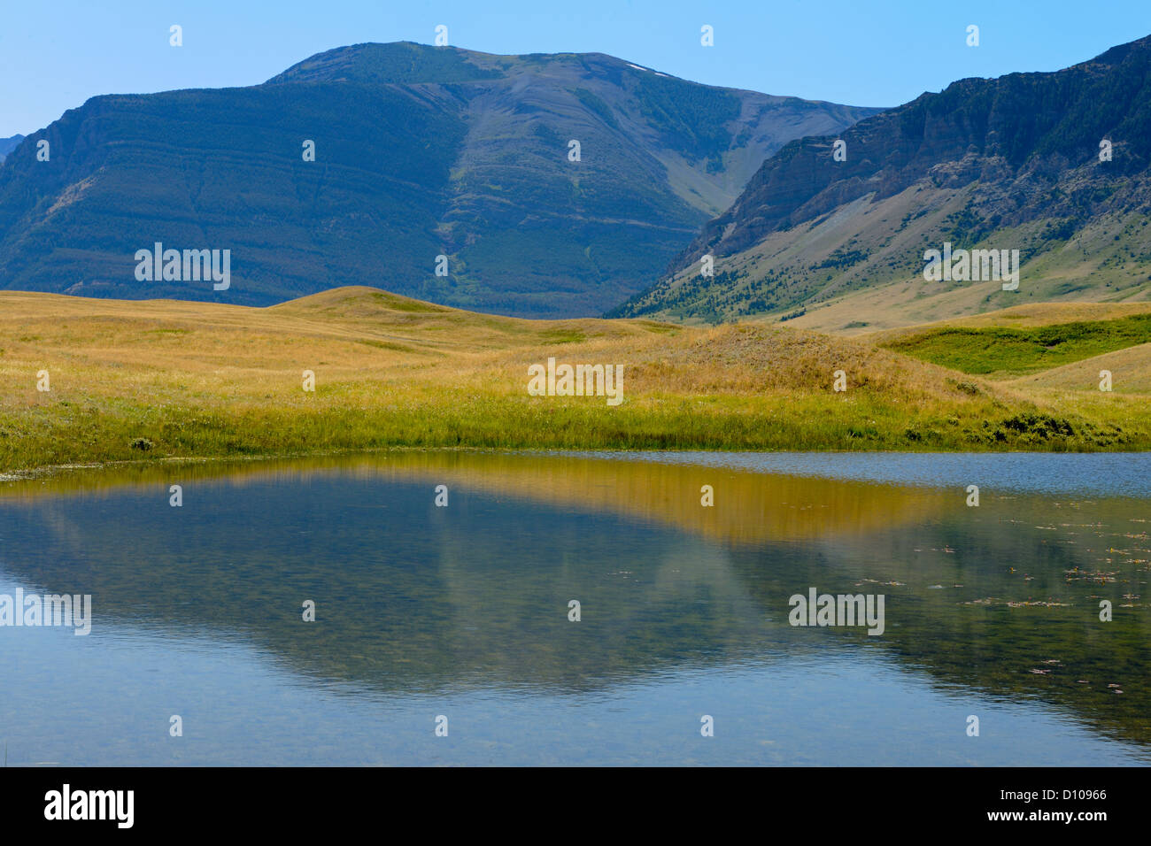 The paddock community nature park hi-res stock photography and images ...