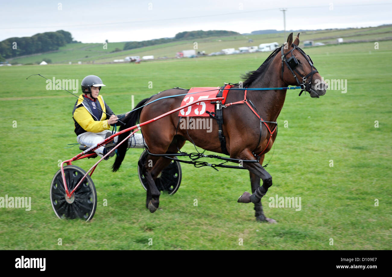 Harness racing hi-res stock photography and images - Alamy