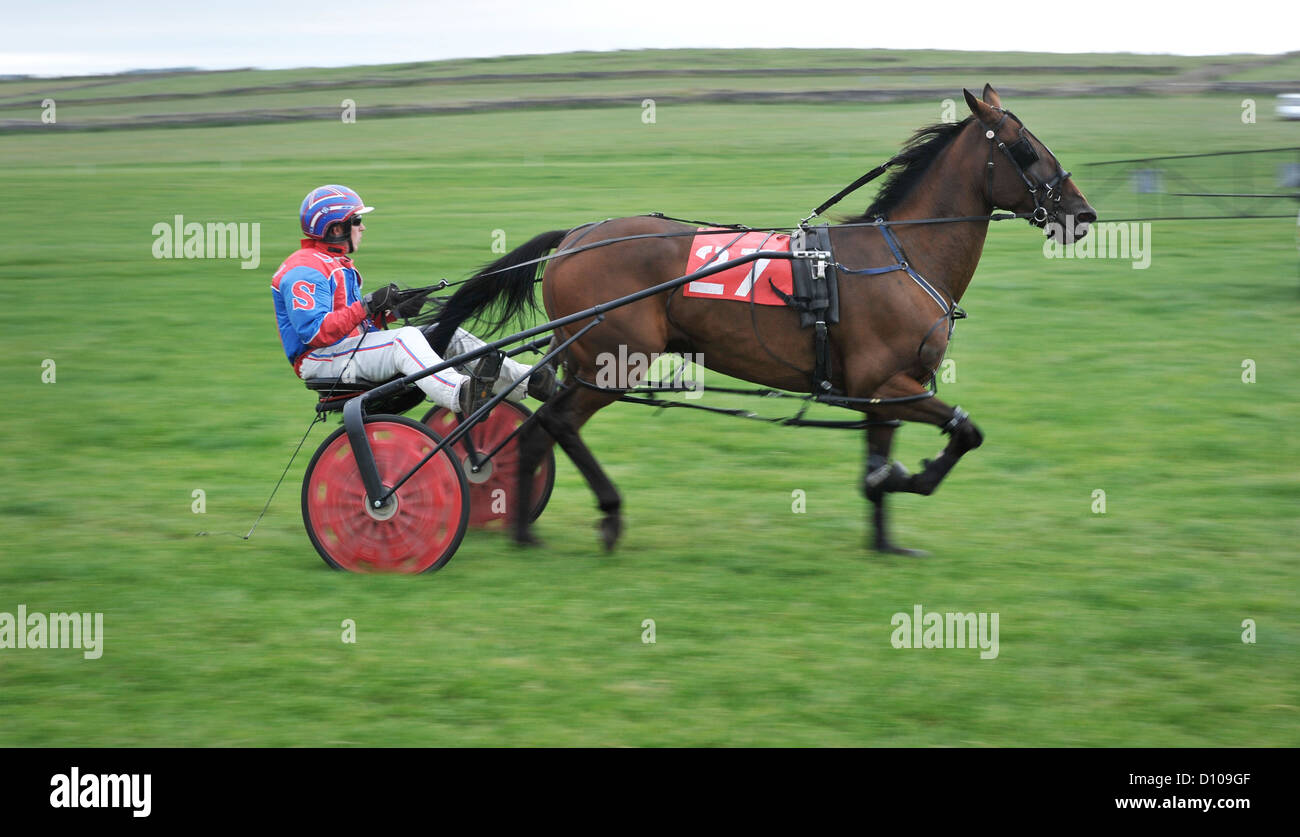 Harness racing hi-res stock photography and images - Alamy