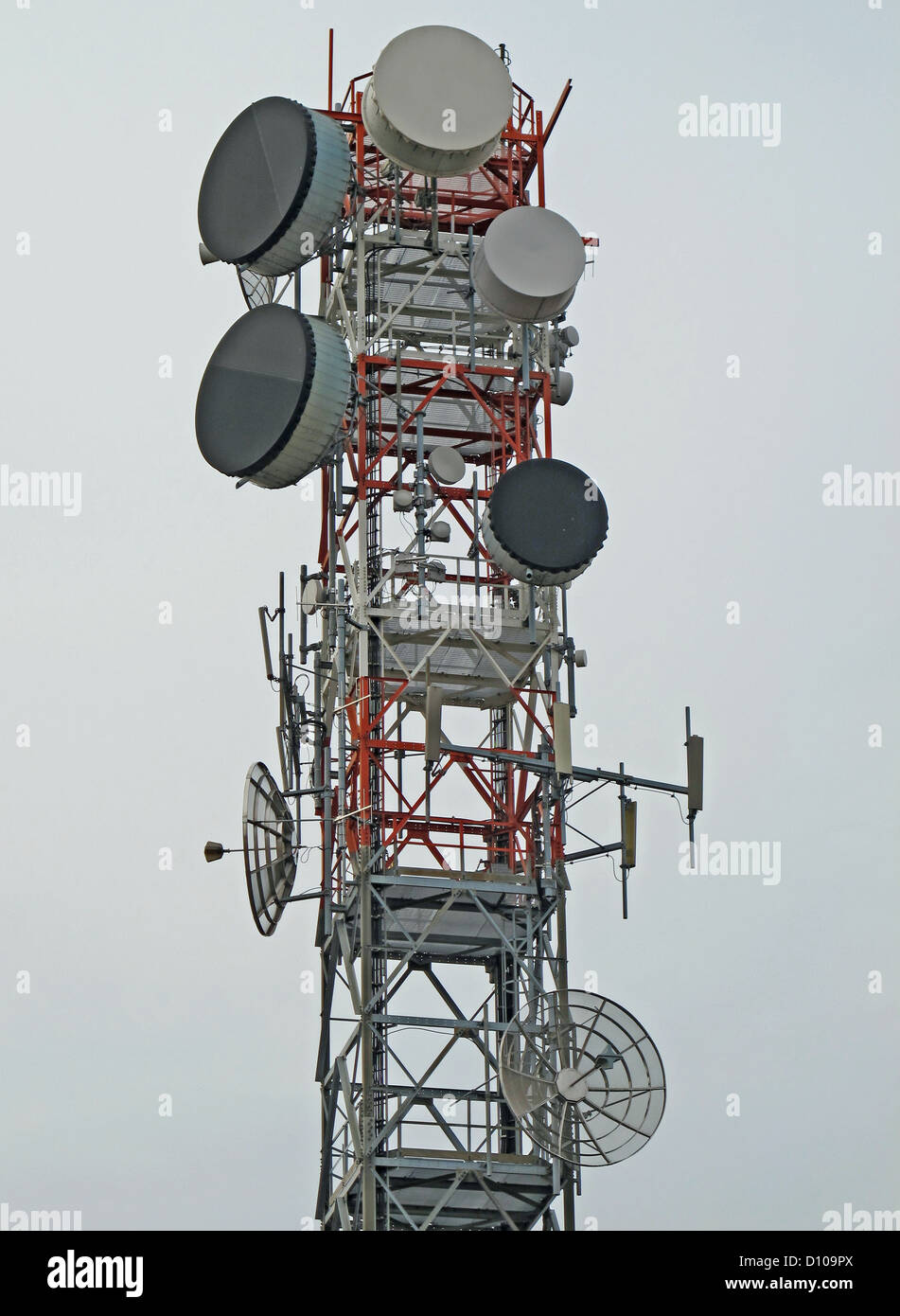 trellis with antenna for the repetition of television and mobile phone ...