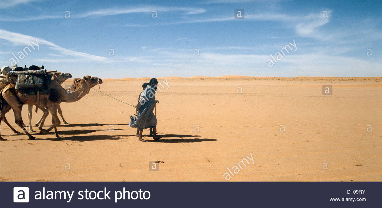 Camel Load African Desert Stock Photos & Camel Load African Desert ...