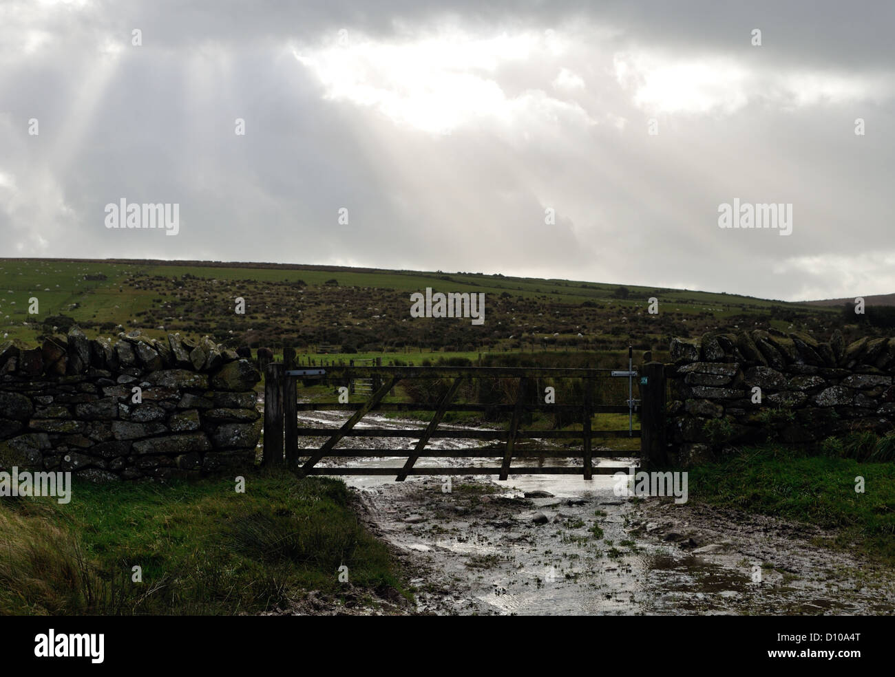 Sheep gate stone wall hi-res stock photography and images - Alamy