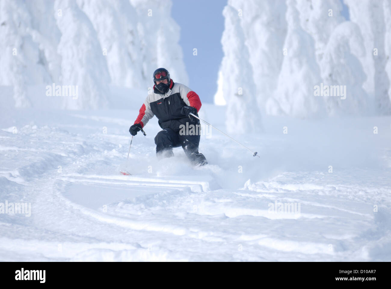 Cat powder hi-res stock photography and images - Alamy
