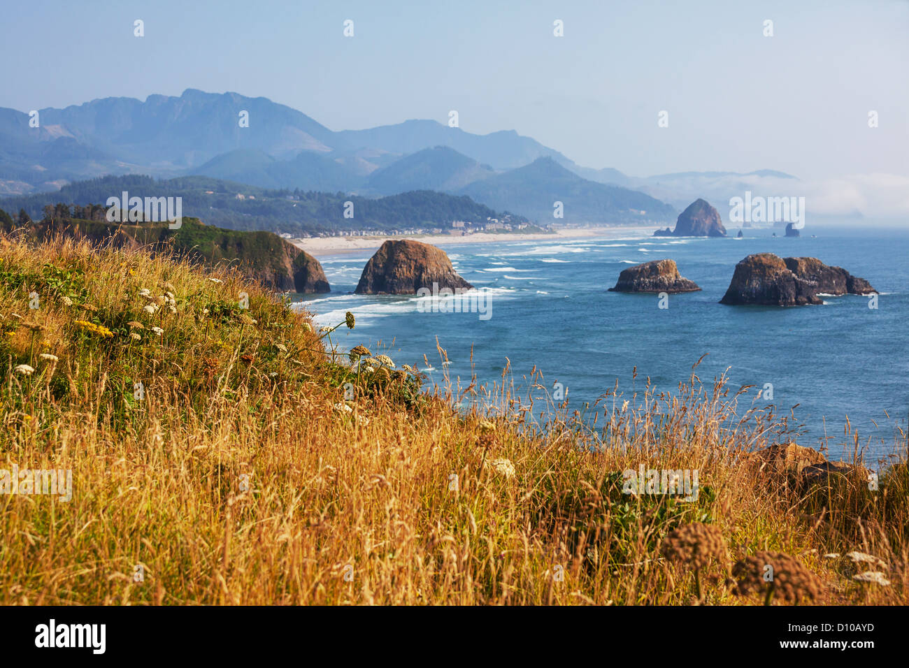 Pacific ocean coast Stock Photo - Alamy