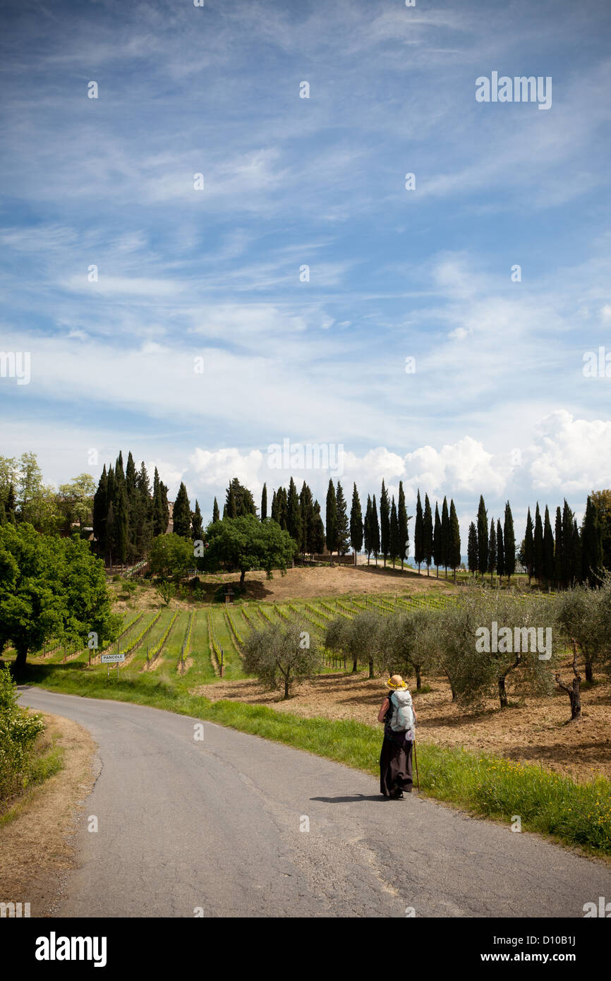 pilgrim on her way in tuscany italy Stock Photo - Alamy