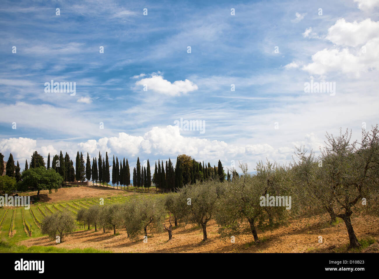 Beautiful sunset tuscany landscape hi-res stock photography and images ...