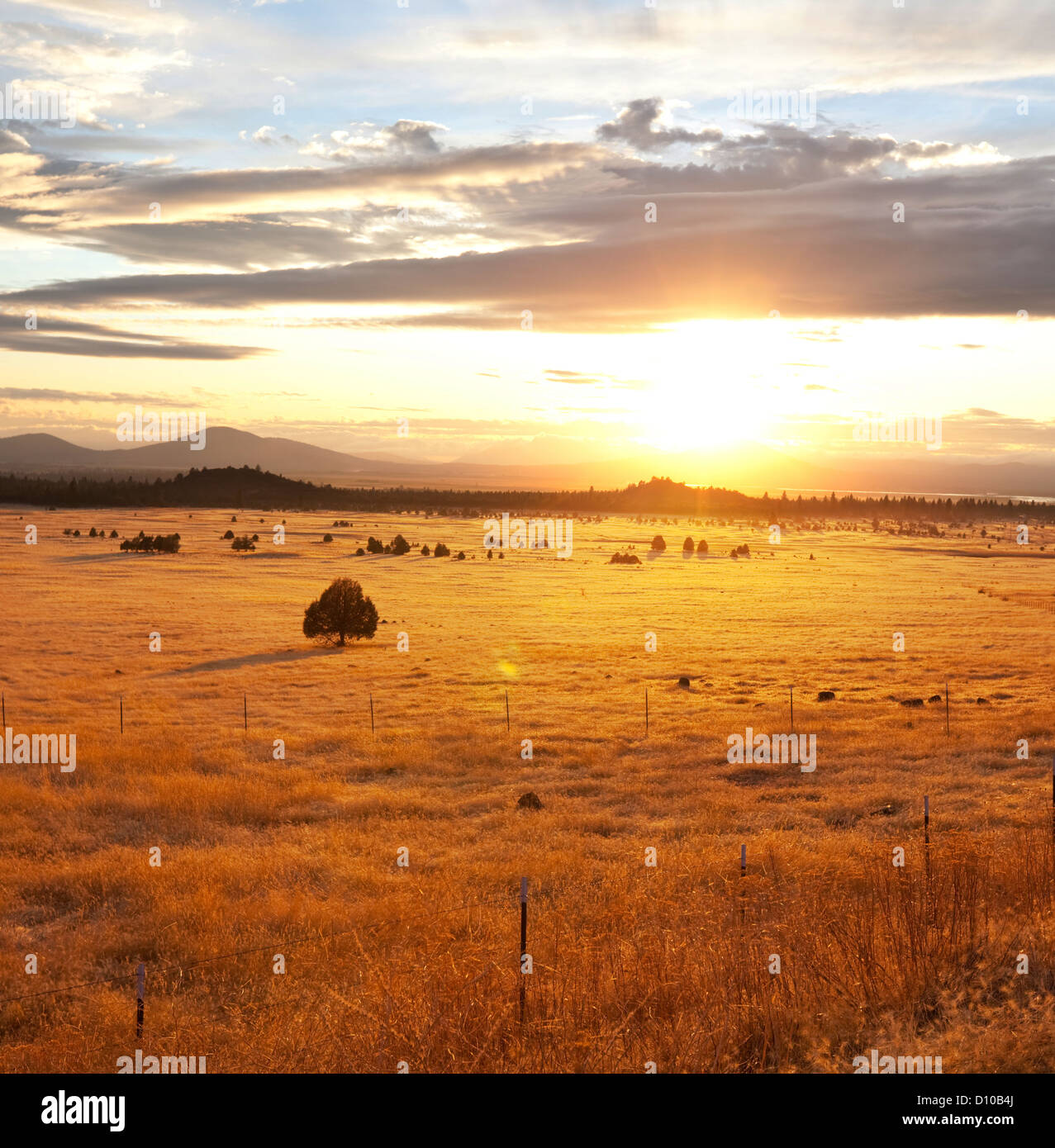 fields in fall season Stock Photo - Alamy