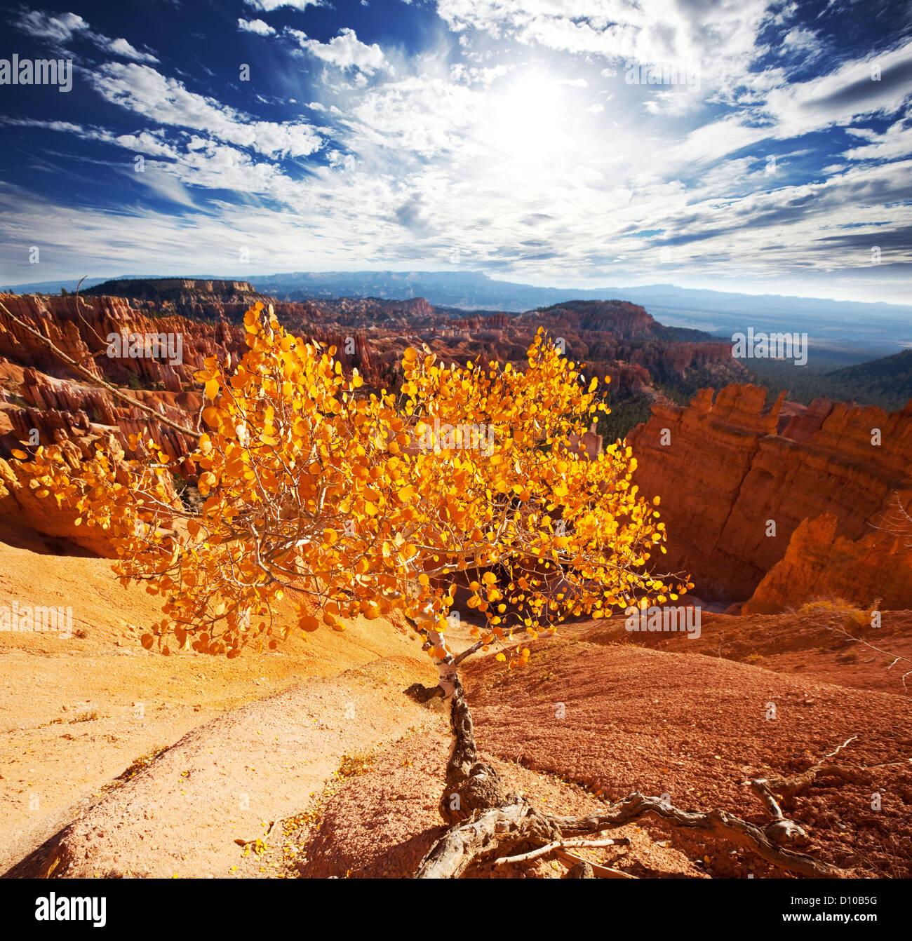 Bryce canyon in fall season Stock Photo - Alamy