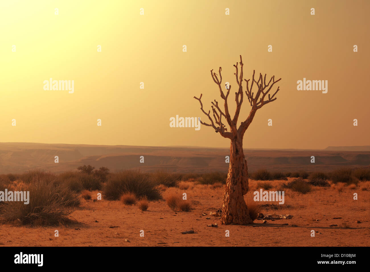 Dead valley in Namibia Stock Photo - Alamy