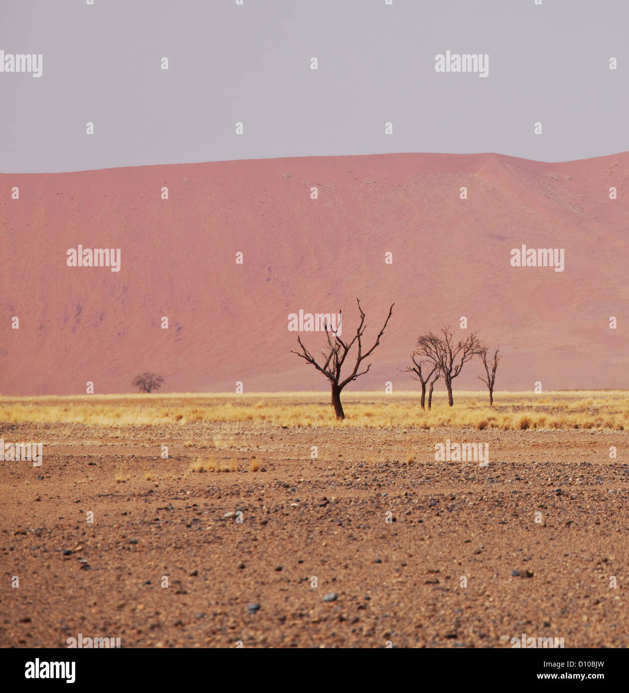 Dead valley in Namibia Stock Photo - Alamy