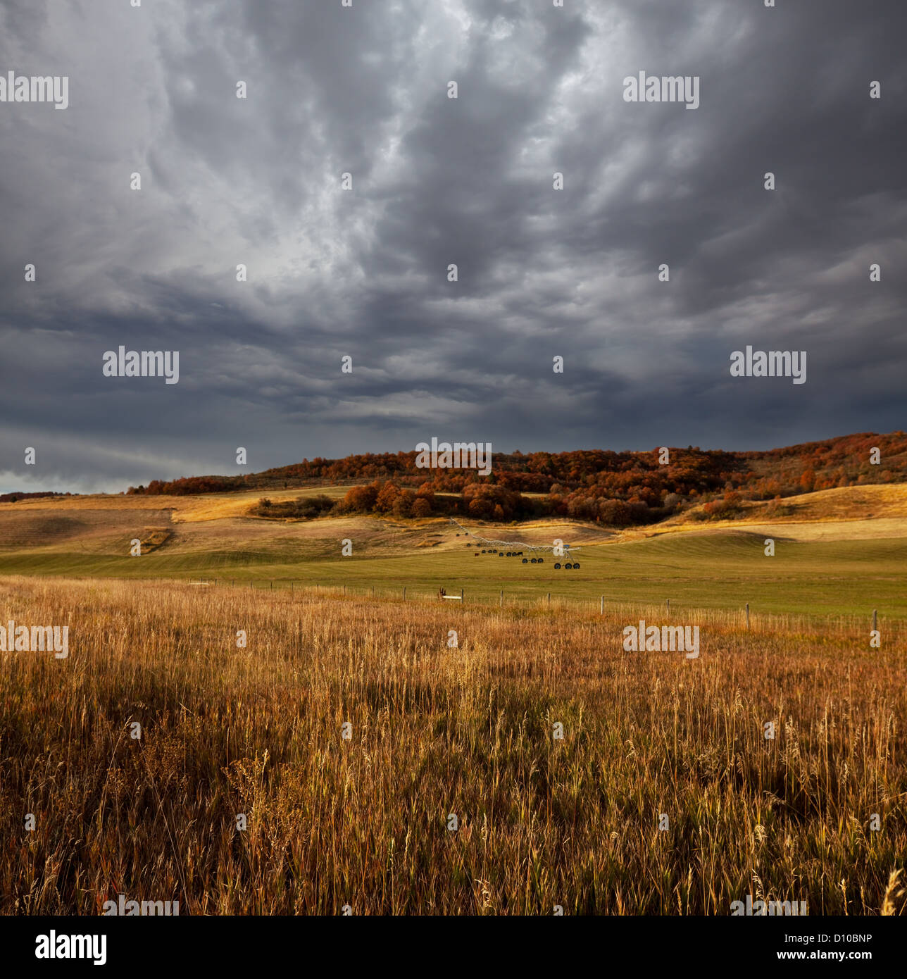 fields in fall season Stock Photo - Alamy