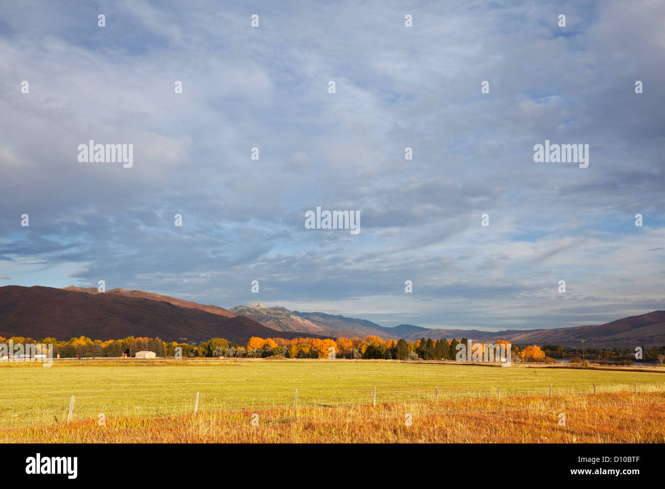 fields in fall season Stock Photo - Alamy