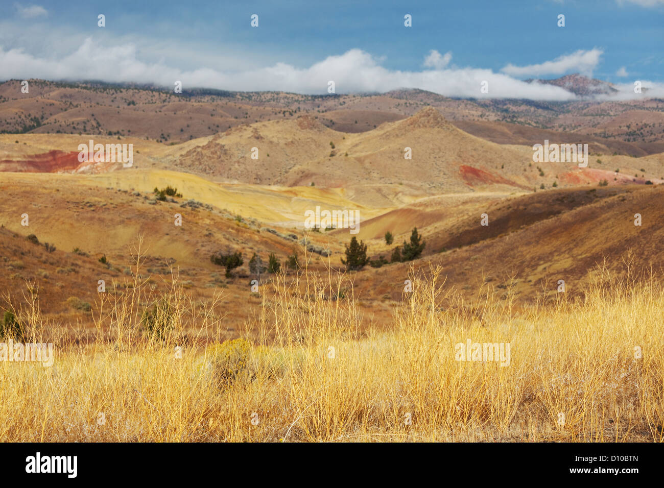 fields in fall season Stock Photo - Alamy