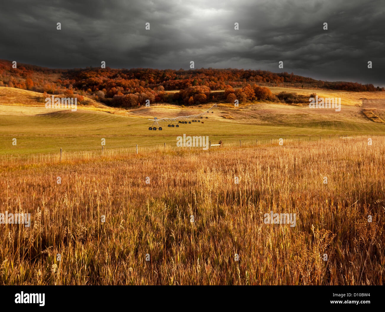 fields in fall season Stock Photo - Alamy