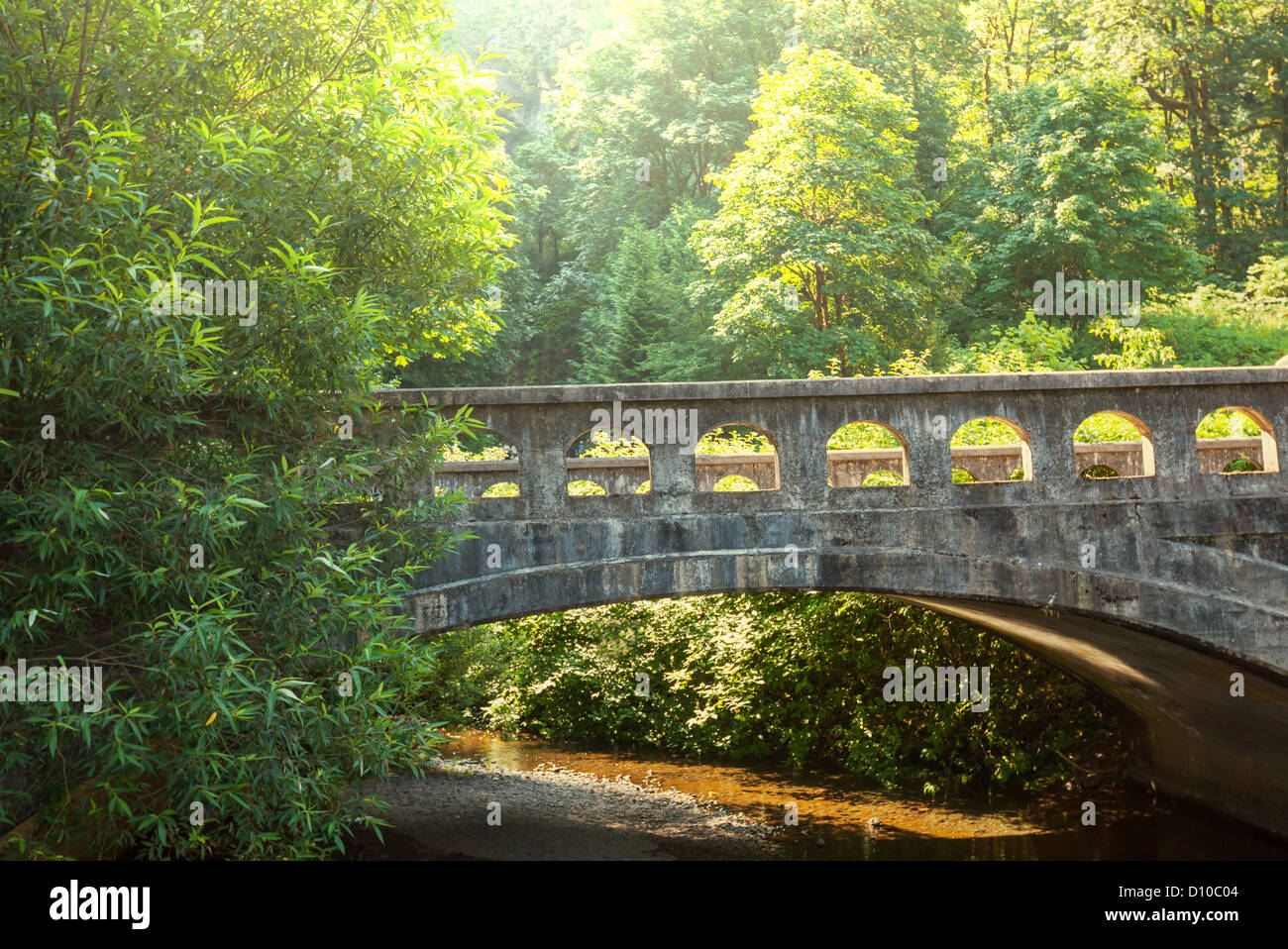 Bridge in forest Stock Photo - Alamy