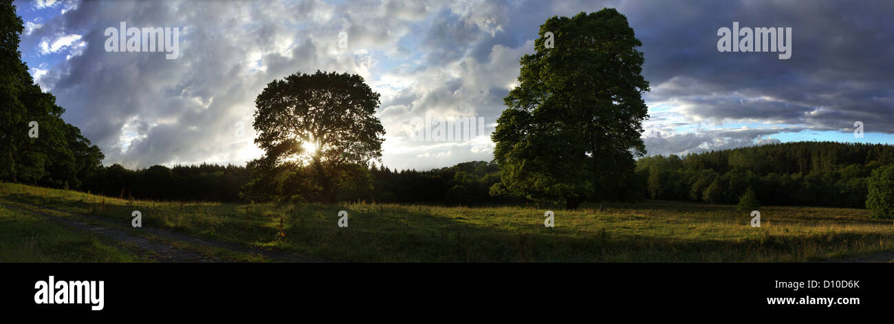 Stitched Panorama,Devon uk Stock Photo - Alamy