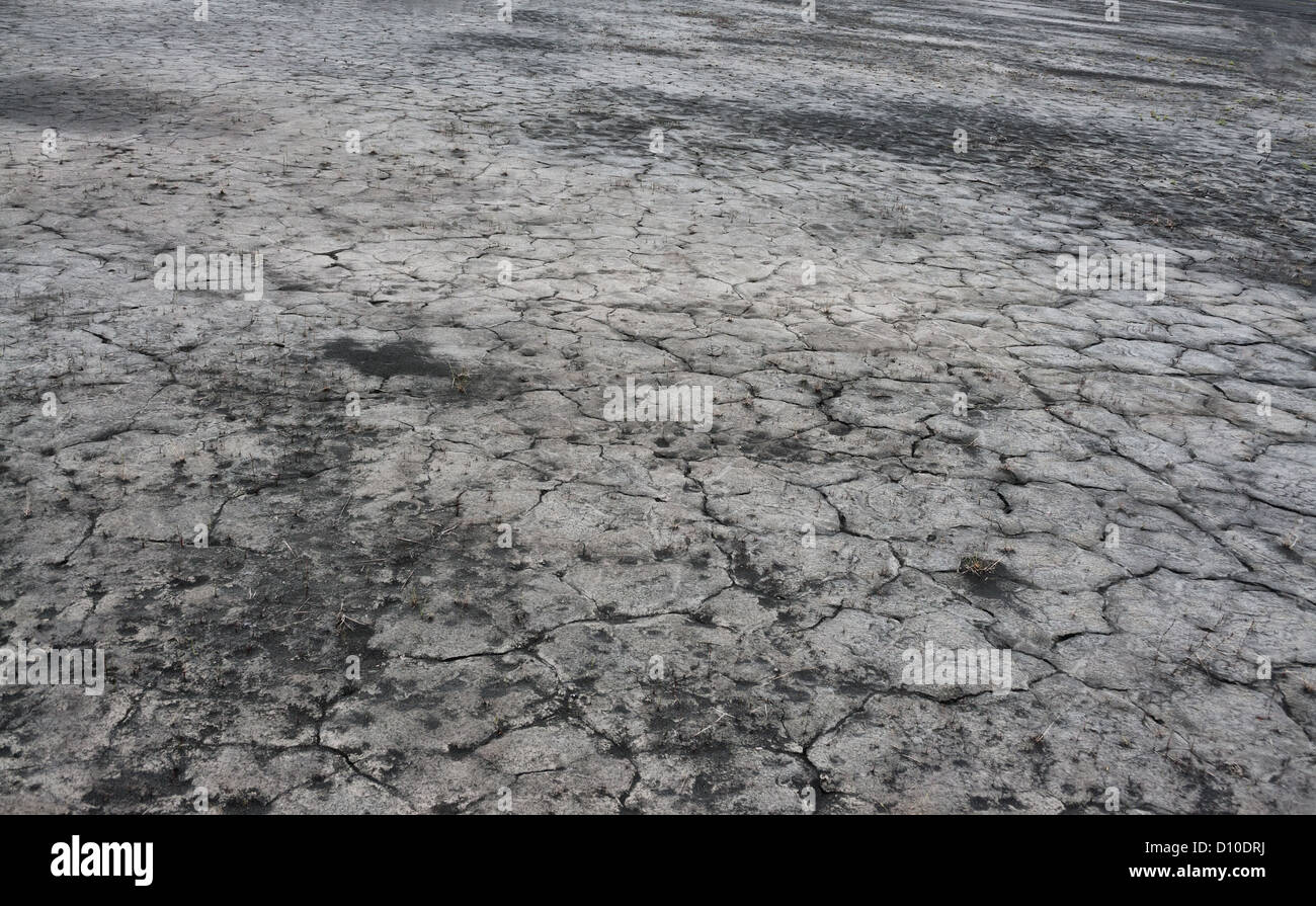 Cracked earth in dry desert Stock Photo - Alamy