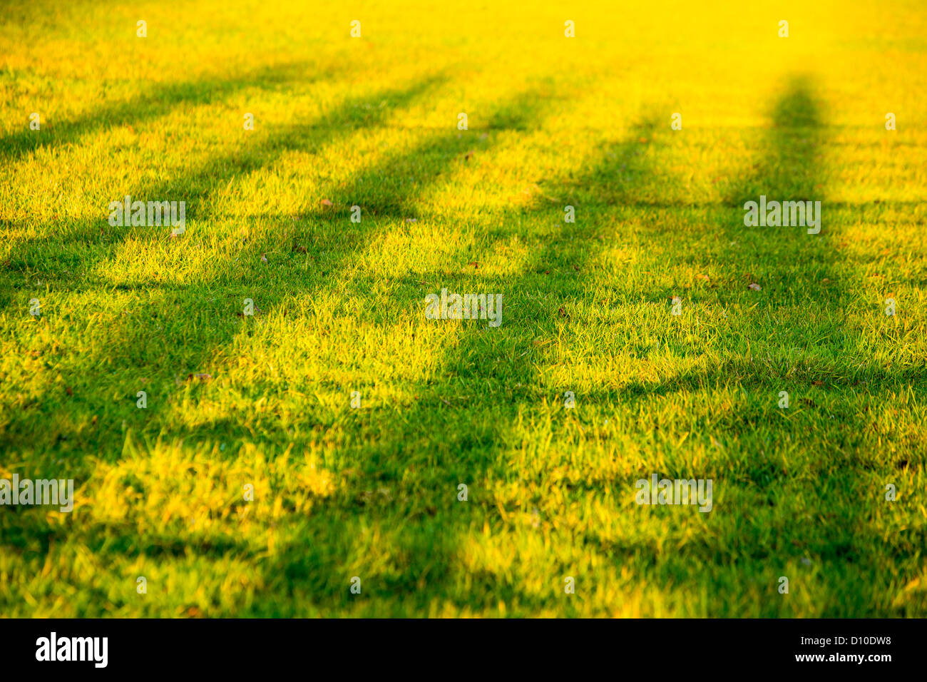 Sunset cast shadow hi-res stock photography and images - Alamy