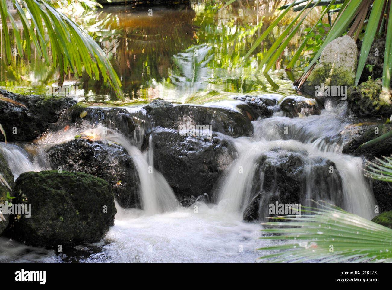 Miami waterfall nature hi-res stock photography and images - Alamy