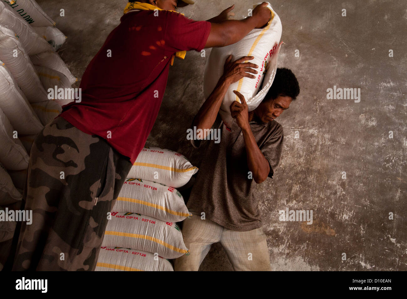 Workers loading sacks of rice at exporter's warehouse. Indonesia Stock ...