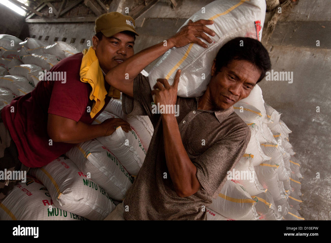Loading Rice Sacks High Resolution Stock Photography and Images - Alamy