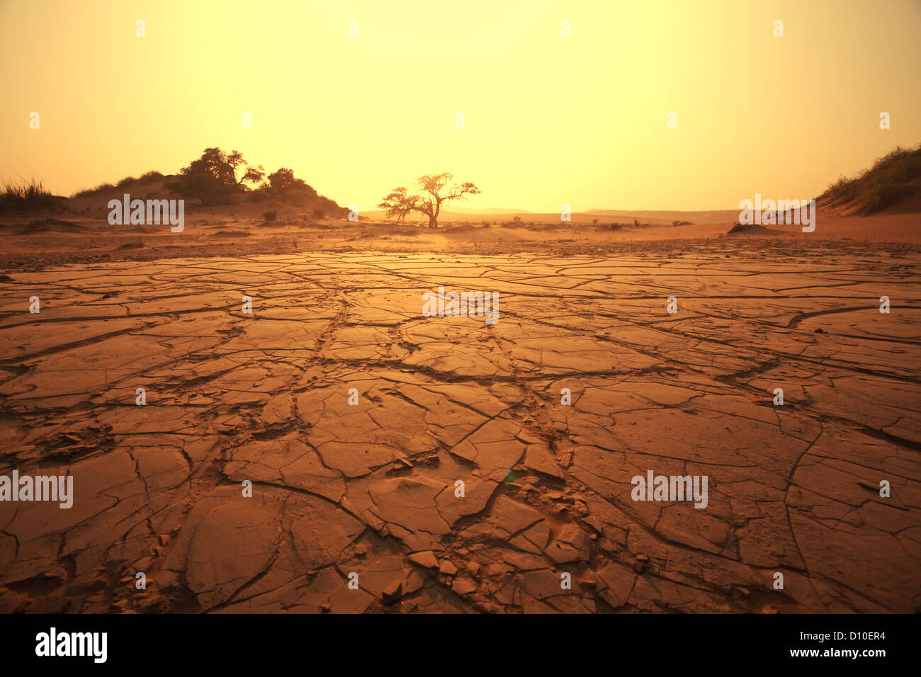 Dead valley in Namibia Stock Photo - Alamy
