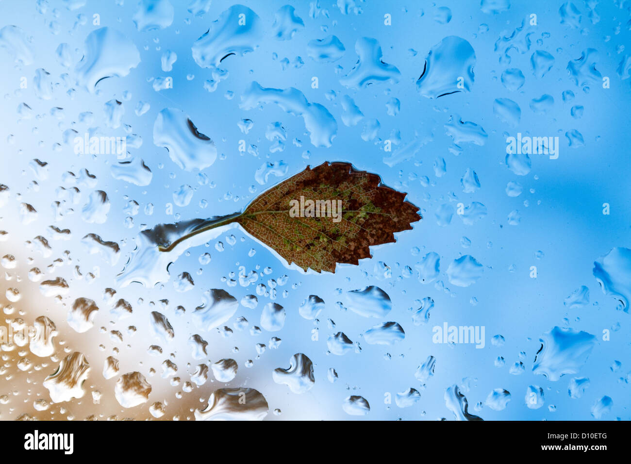 autumn rain water drops glass abstract background Stock Photo - Alamy