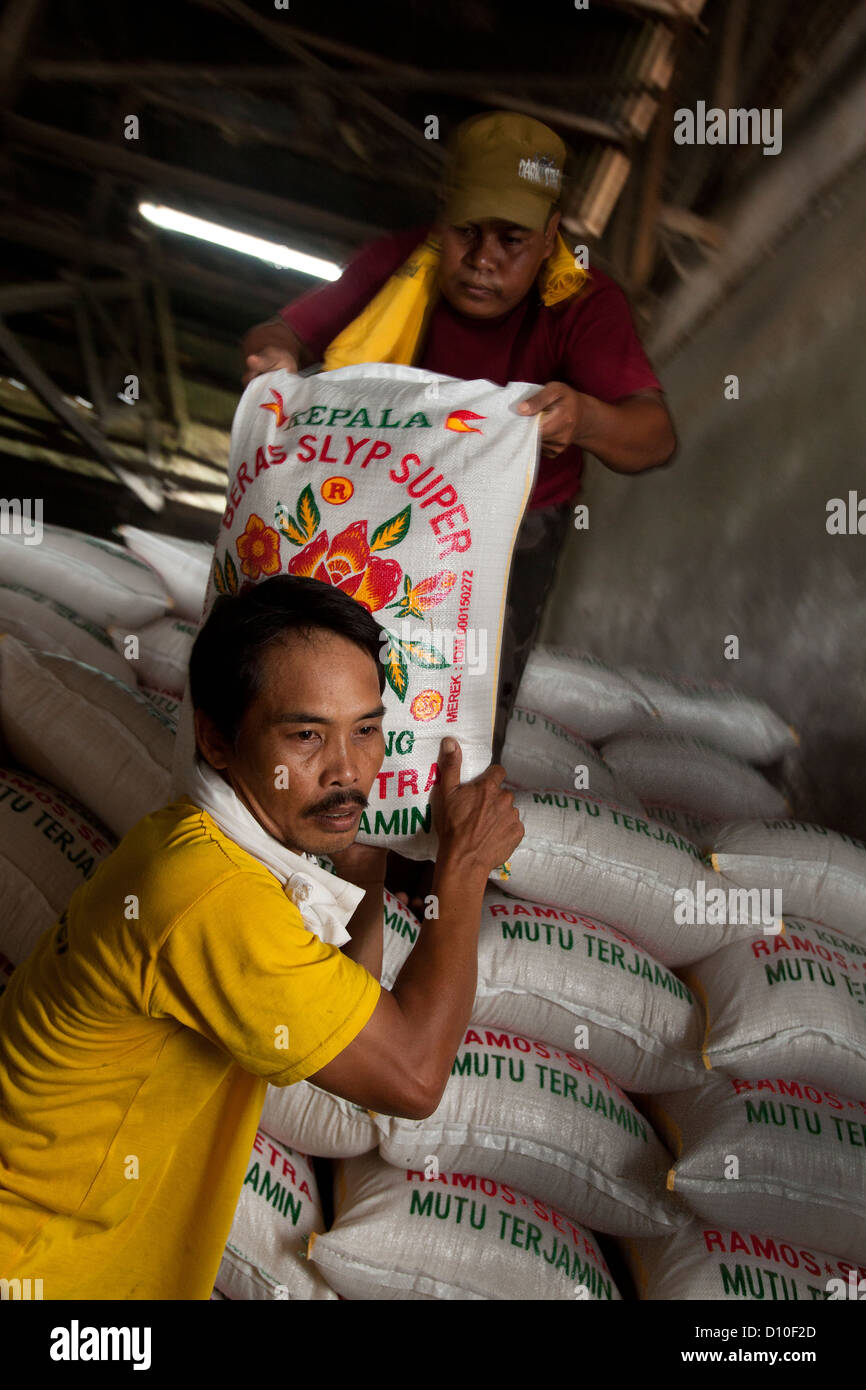 Workers loading sacks of rice at exporter's warehouse. Indonesia Stock ...