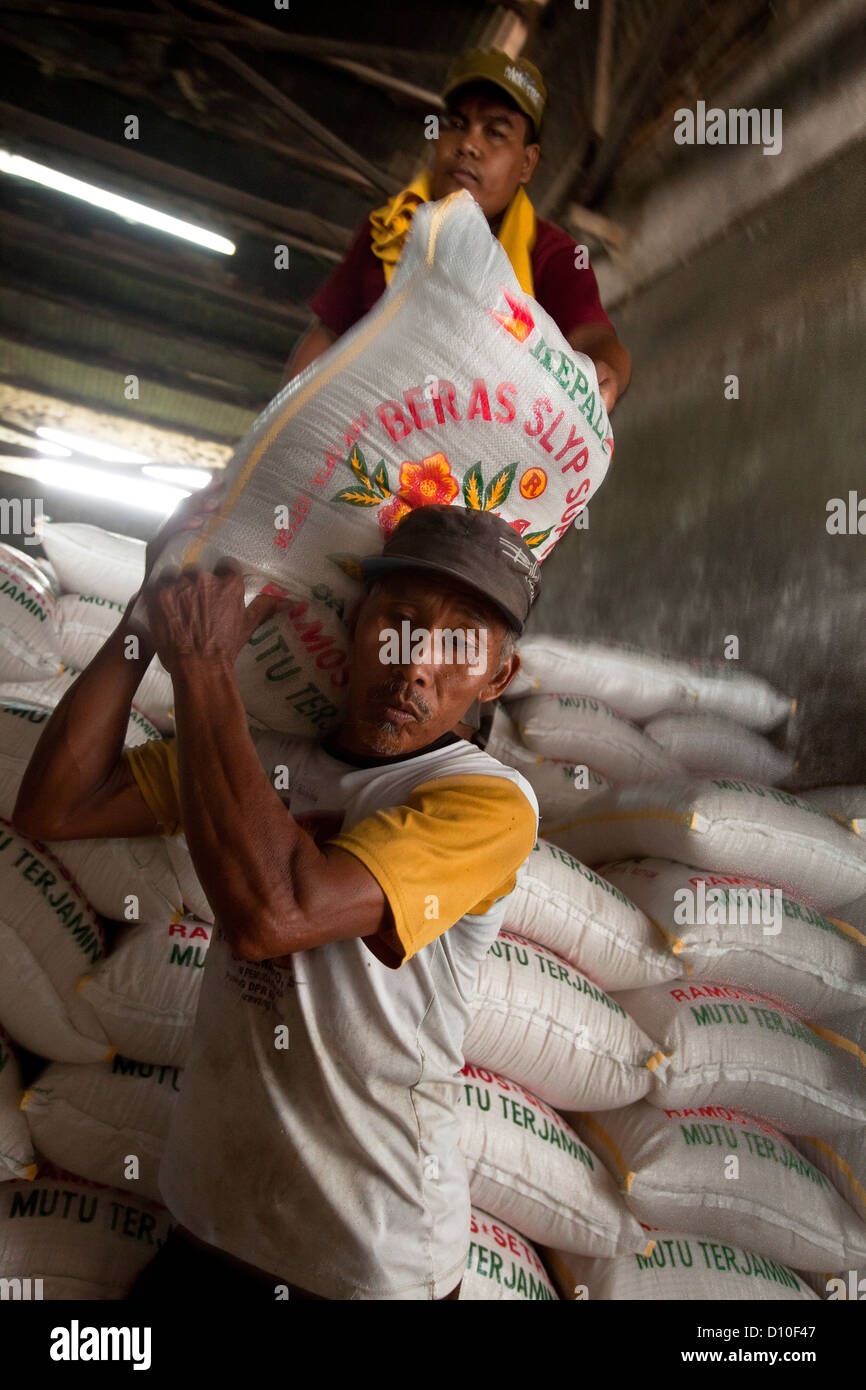 Workers loading sacks of rice at exporter's warehouse. Indonesia Stock ...