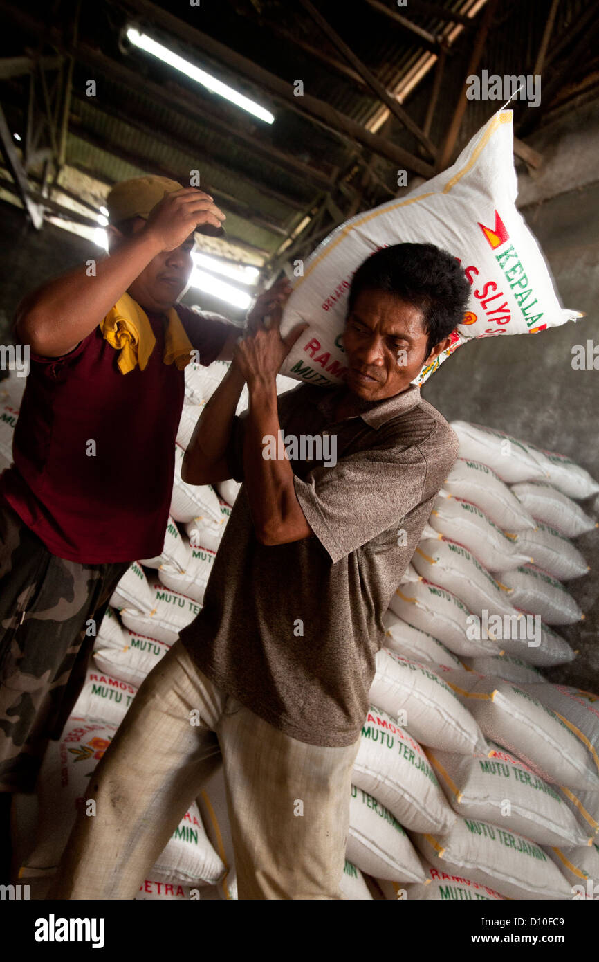 Rice loading hi-res stock photography and images - Alamy