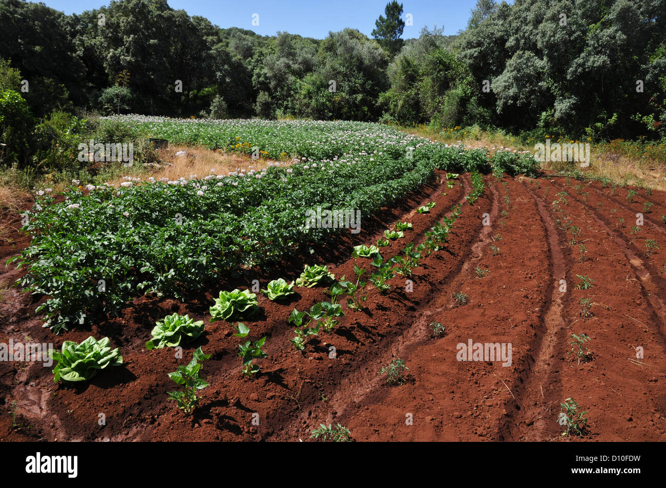 Sierra de huerta hi-res stock photography and images - Alamy
