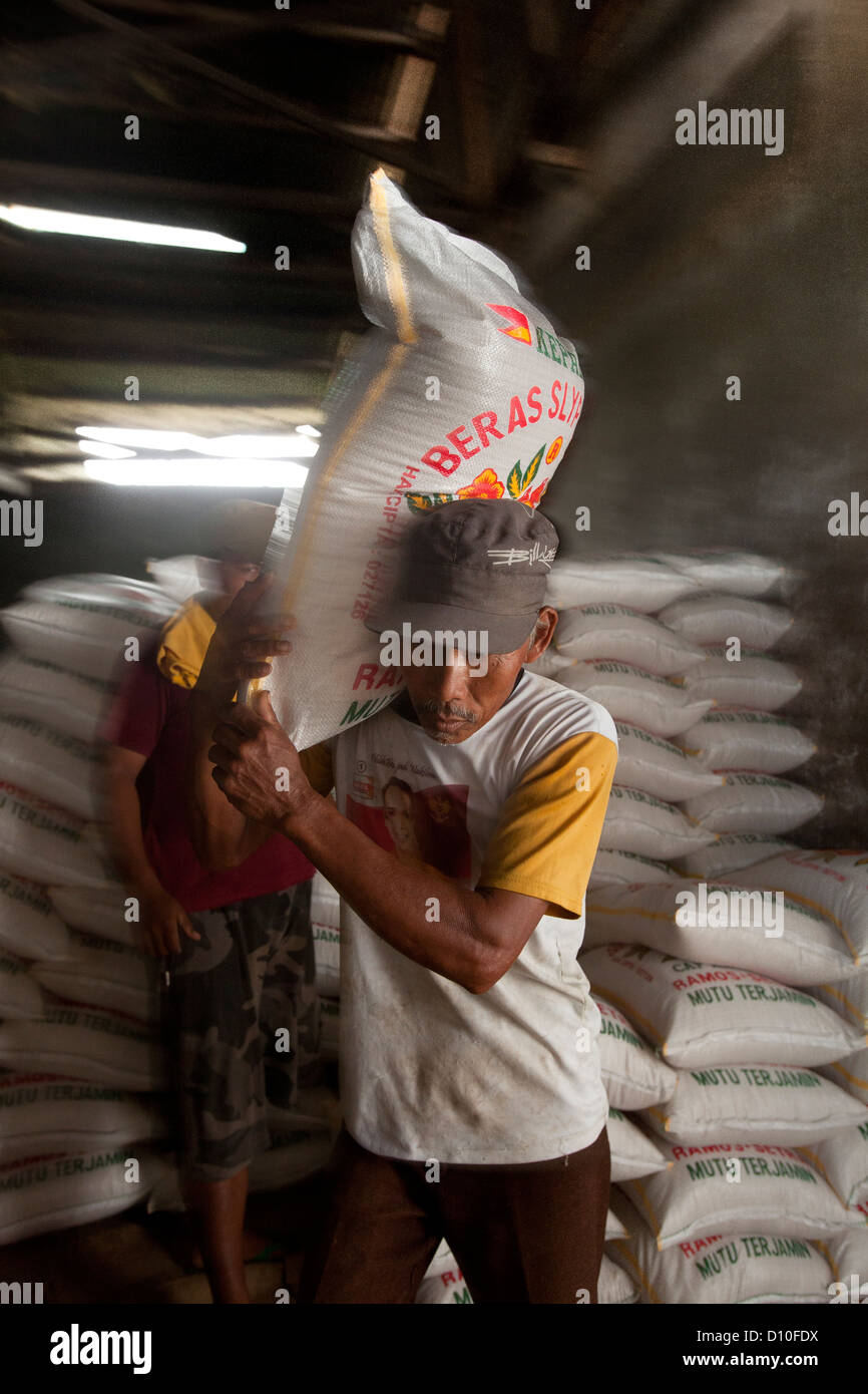 Workers loading sacks of rice at exporter's warehouse. Indonesia Stock ...