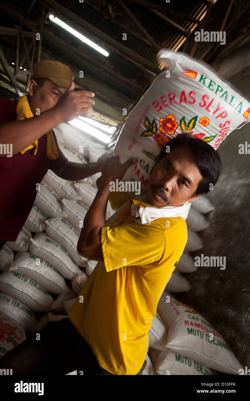Workers loading sacks of rice at exporter's warehouse. Indonesia Stock ...
