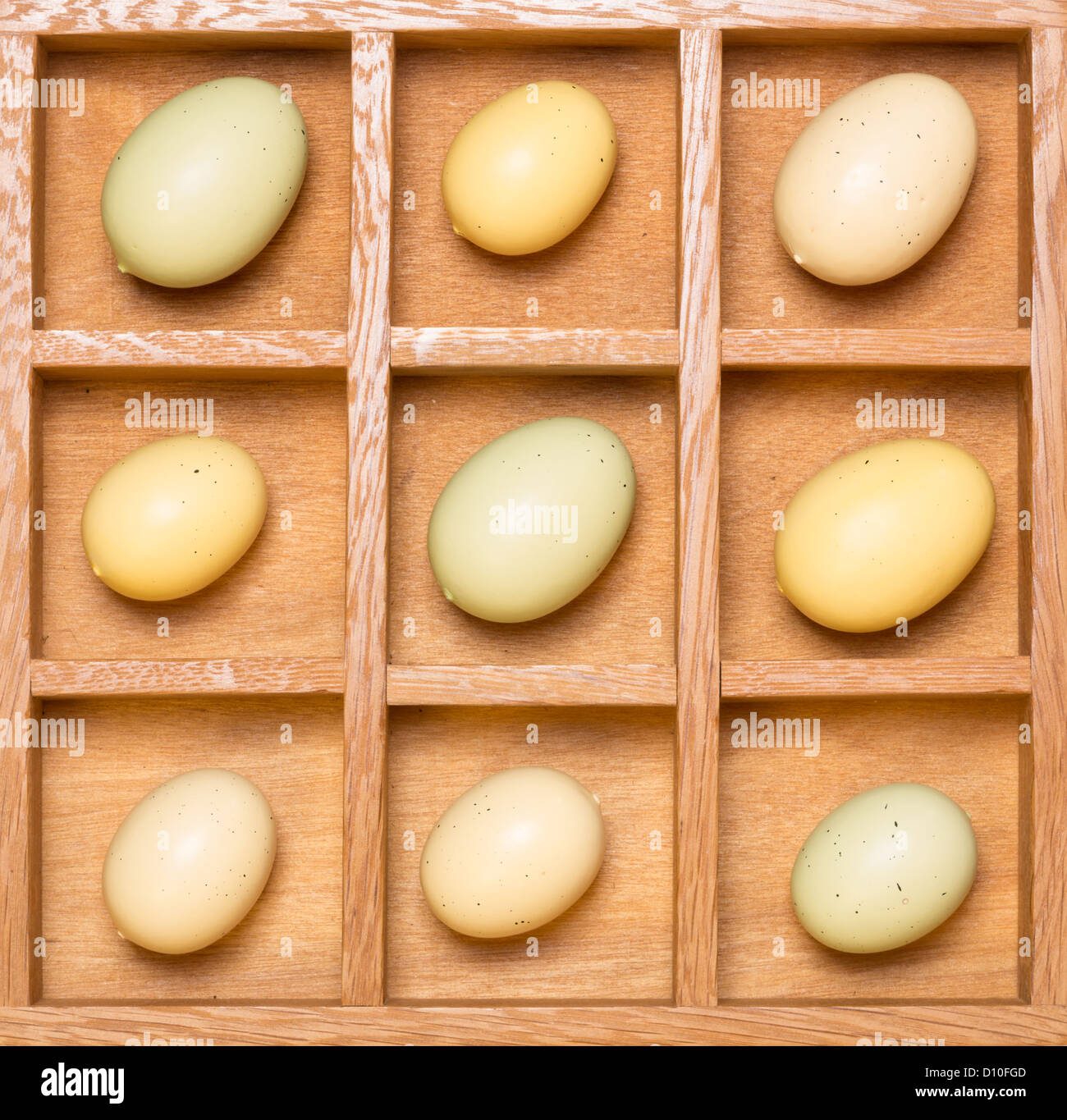 A shadow box with a group of different sized eggs Stock Photo - Alamy