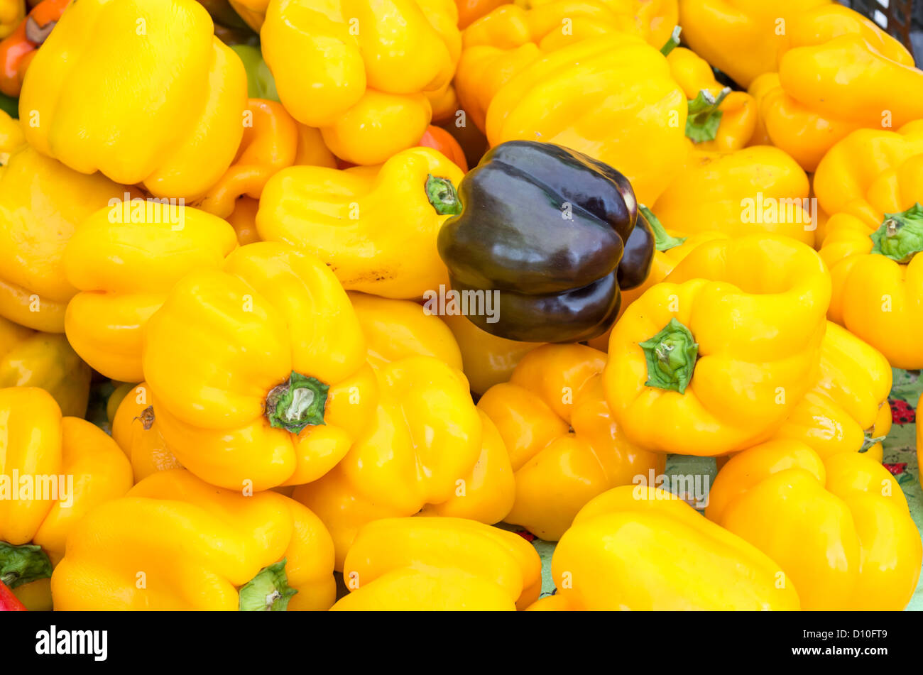 Bell peppers crop hi-res stock photography and images - Alamy