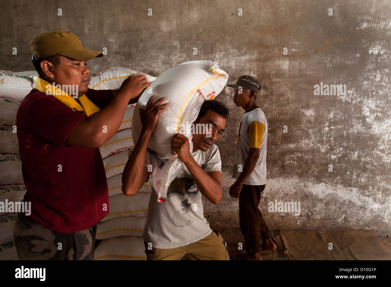 Workers loading sacks of rice at exporter's warehouse. Indonesia Stock ...
