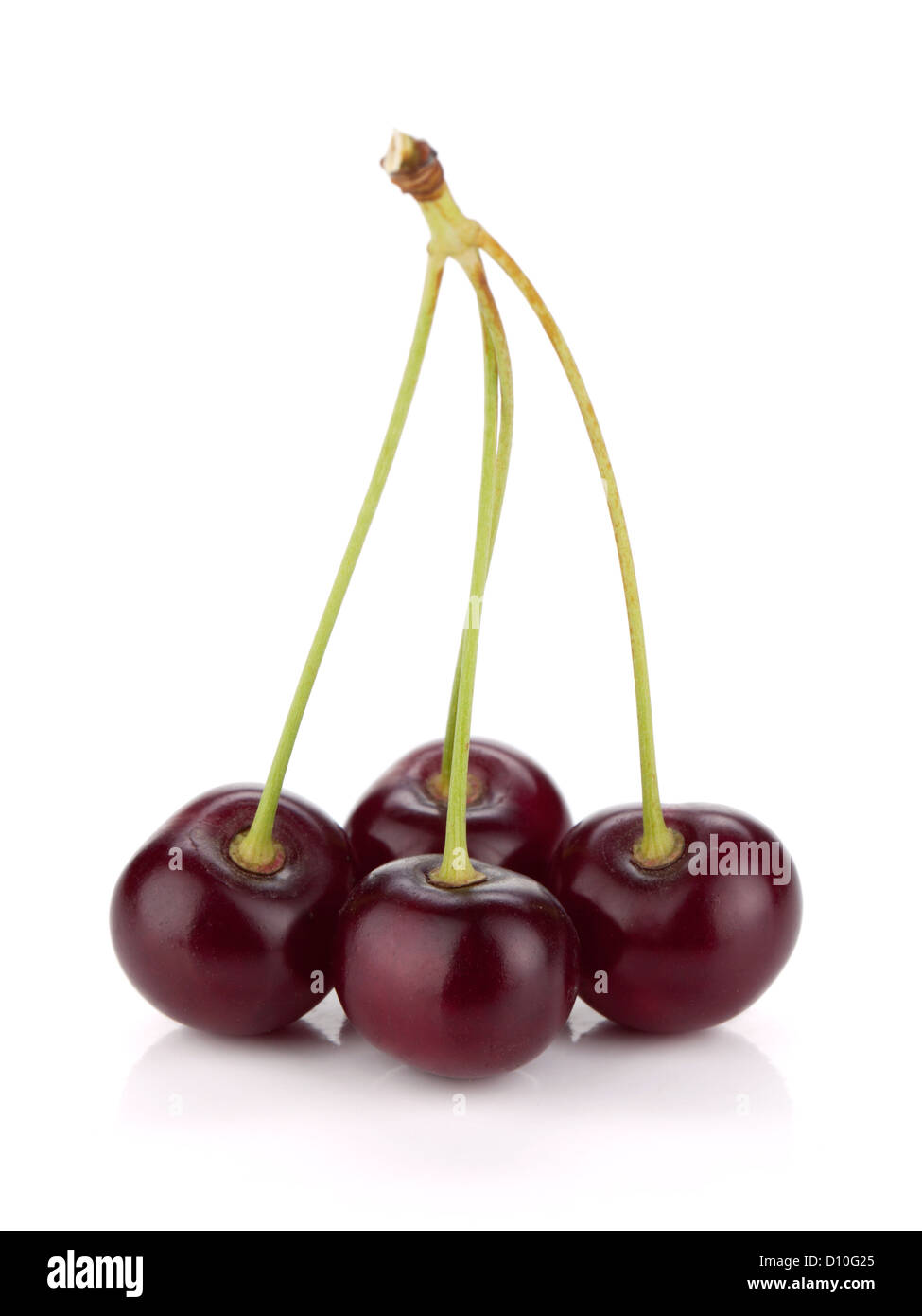 Four ripe cherries. Isolated on white background Stock Photo - Alamy