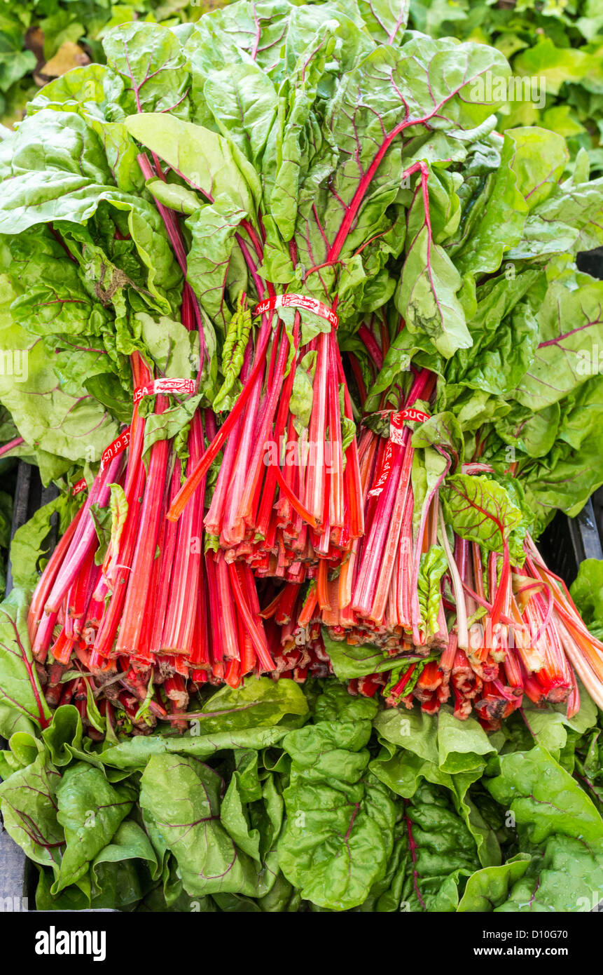 Display of fresh Swiss Chard at the market Stock Photo - Alamy