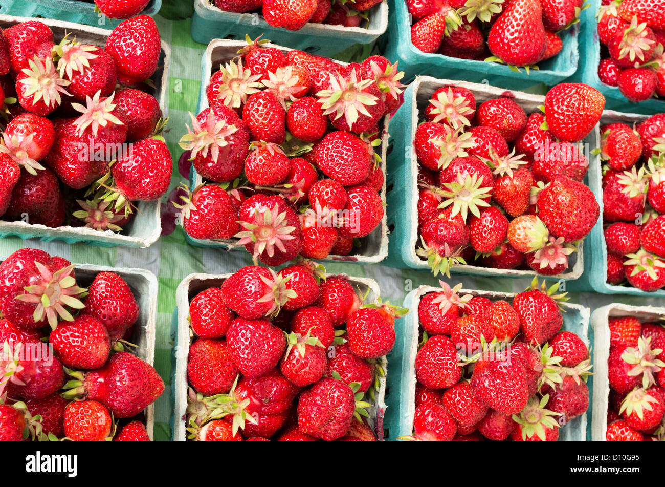 Farmers with strawberries hi-res stock photography and images - Alamy