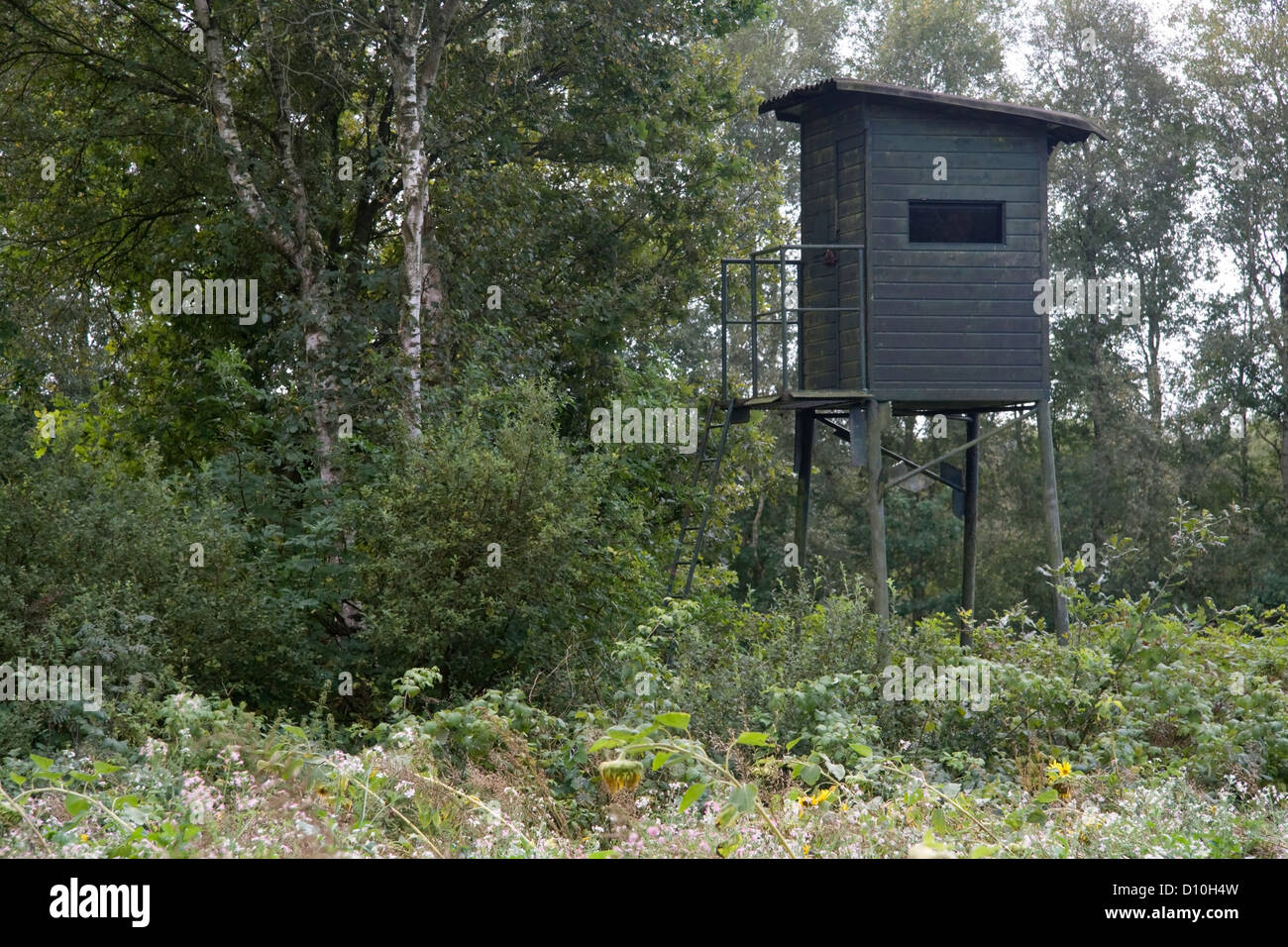 wildlife observation hut, Netherlands Stock Photo - Alamy
