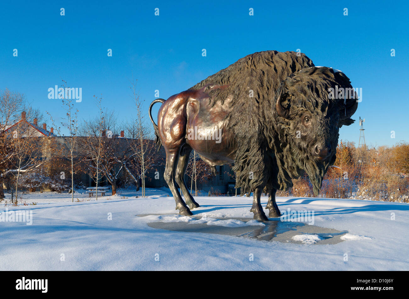 Bison statue, Fort Calgary, RCMP Interpretation Centre, Calgary ...