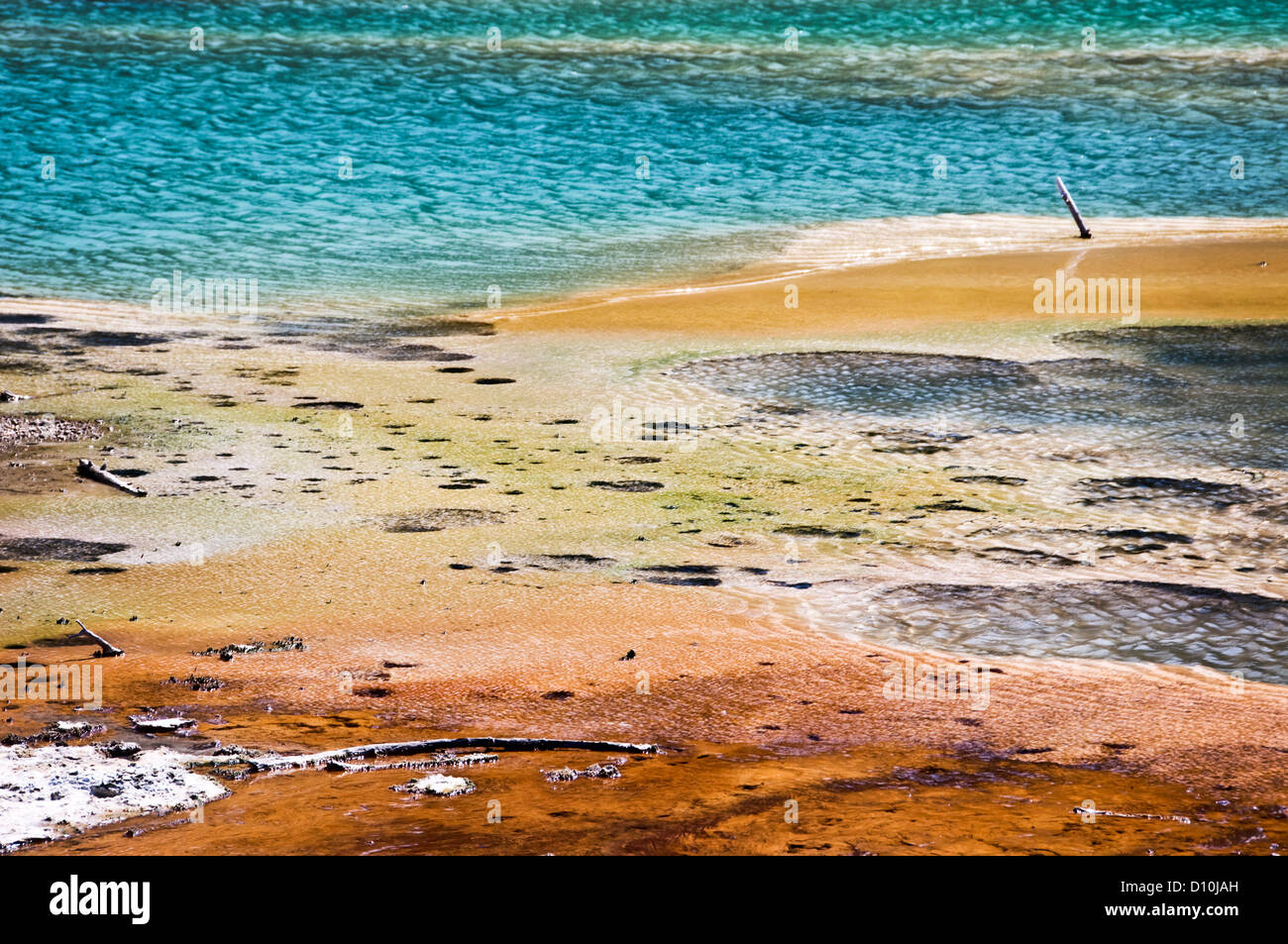 Detailed view of a hot spring - Norris Geyser basin, Yellowstone ...