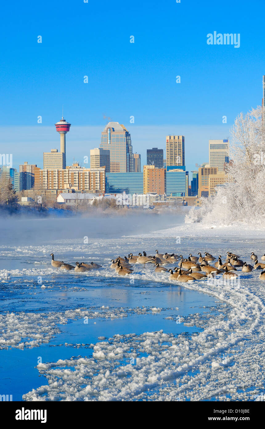 Downtown calgary river hi-res stock photography and images - Alamy