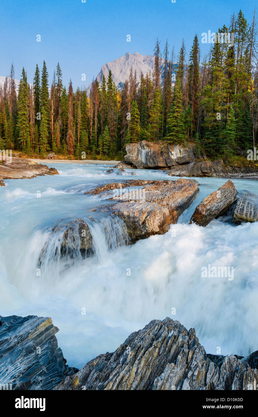 Yoho National Park Stock Photos & Yoho National Park Stock Images - Alamy