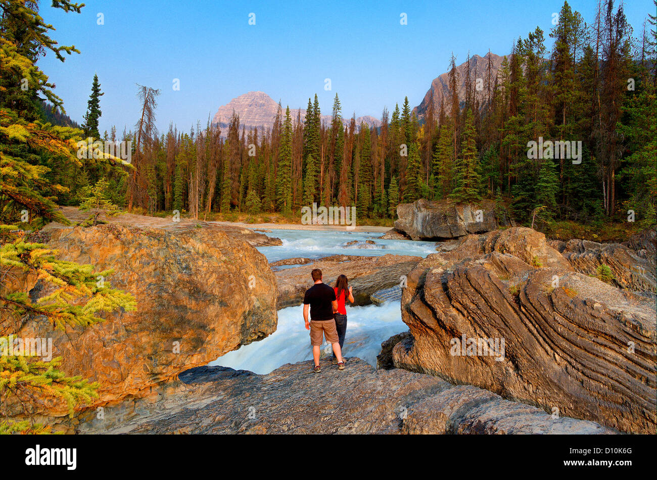 The Natural Bridge, Yoho National Park, British Columbia, Canada Stock ...