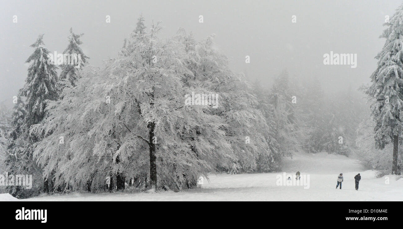 Trees and fields are covered in snow on Inselberg Hill in Tabarz ...